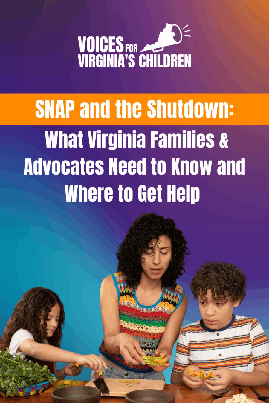 SNAP and the Shutdown: What Virginia Families & Advocates Need to Know ...